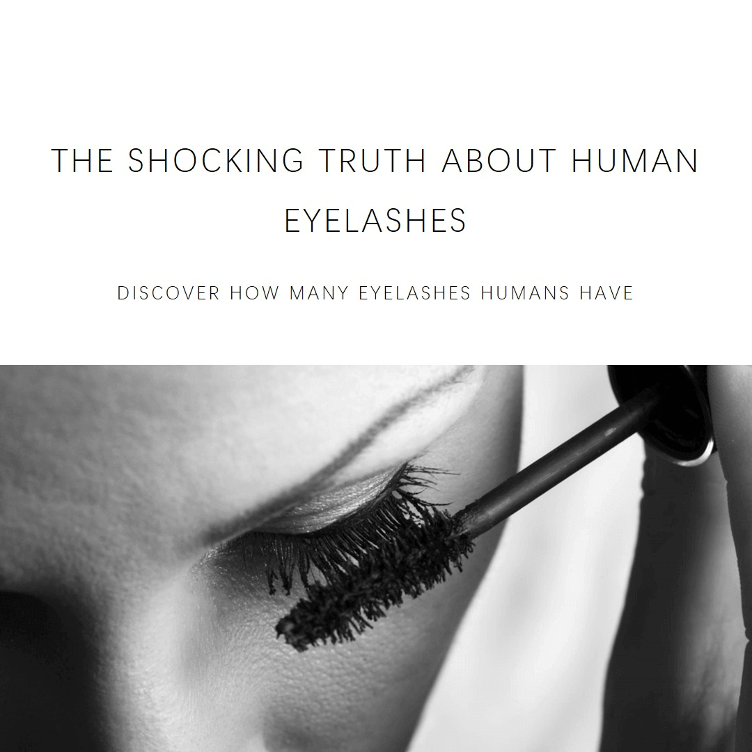 How Many Eyelashes Do Humans Have? The Answer Will Shock You! - UBLashes